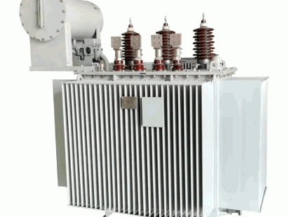 High Voltage Transformer Step Up 4000W Voltage Converter Transformer,